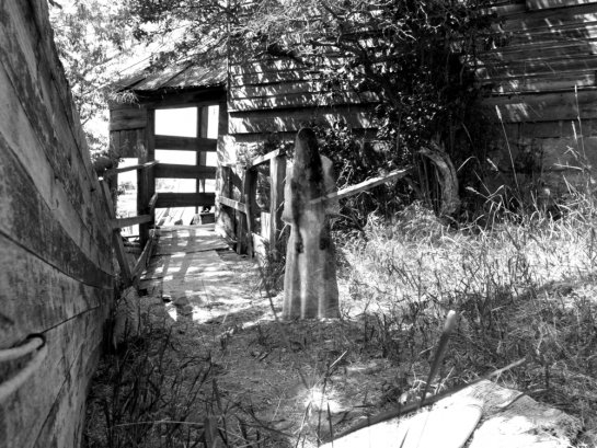 Do you dare enter the Haunted Mill? - Explore Rexburg