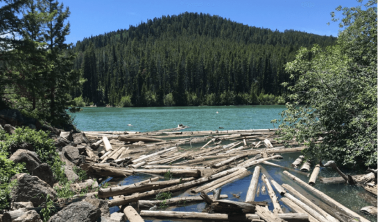 Plan Your Day Trip to Packsaddle Lake - Explore Rexburg